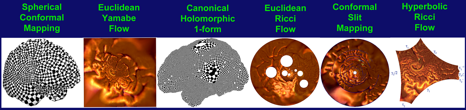 Brain Surface Conformal Parameterization Geometry Systems Laboratory