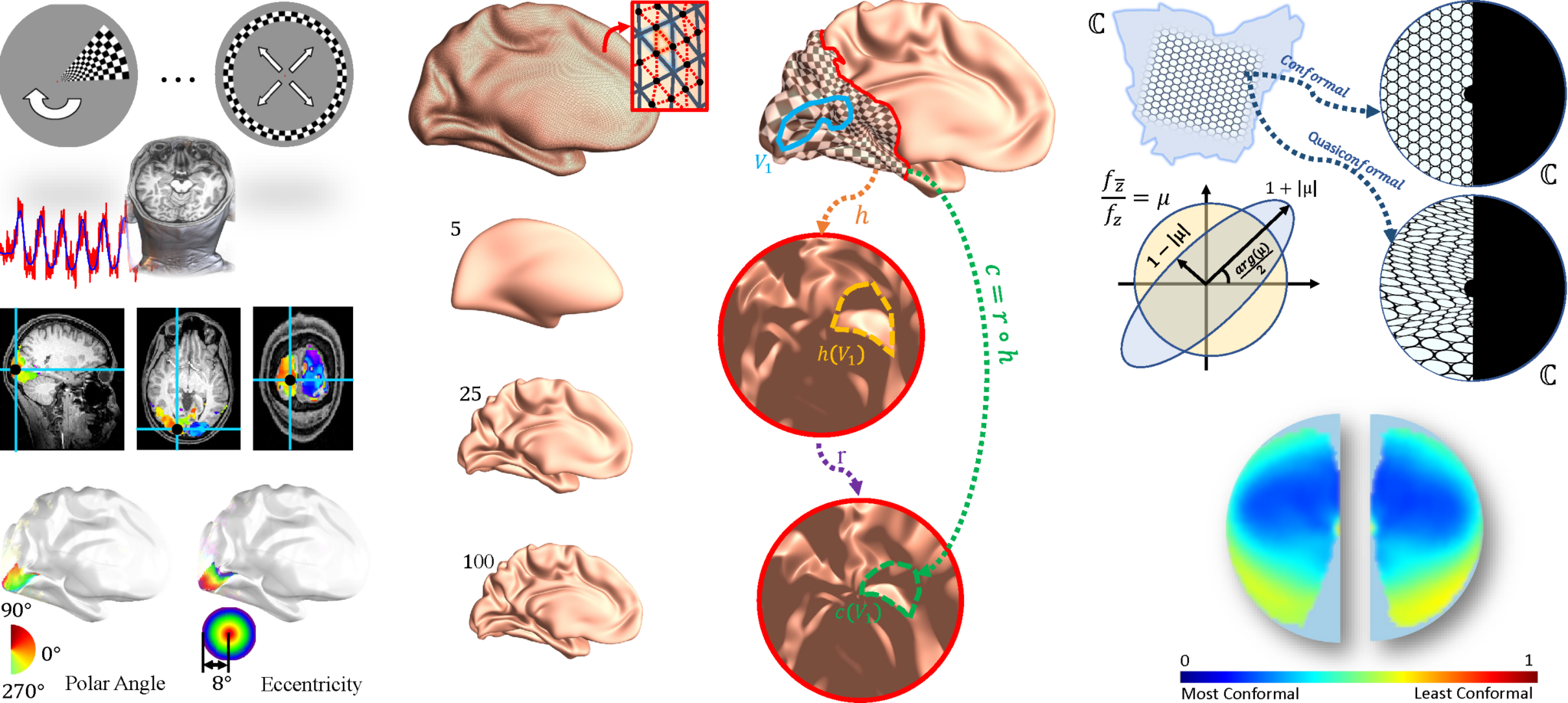 Retinotopic Mapping – Geometry Systems Laboratory